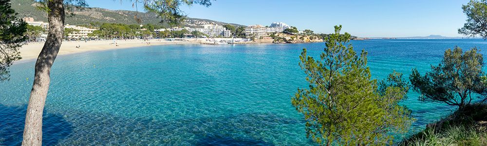 Palma Nova Holidays 2025/2026 | Broadway Travel