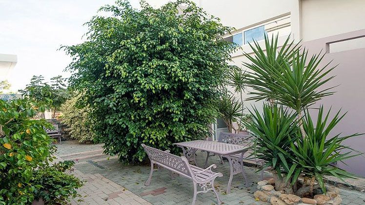 Elounda Sunrise Apartments Crete | Holidays to Greek Islands | Broadway ...